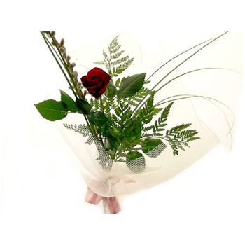 Flowers Auckland Florist delivers Roses|Red Rose Bouquets |Single Red Roses